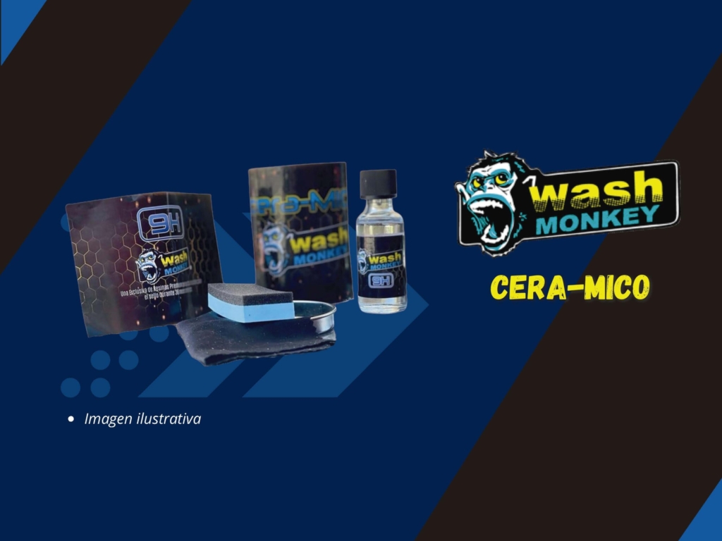 Restauradores Archives - Monkey